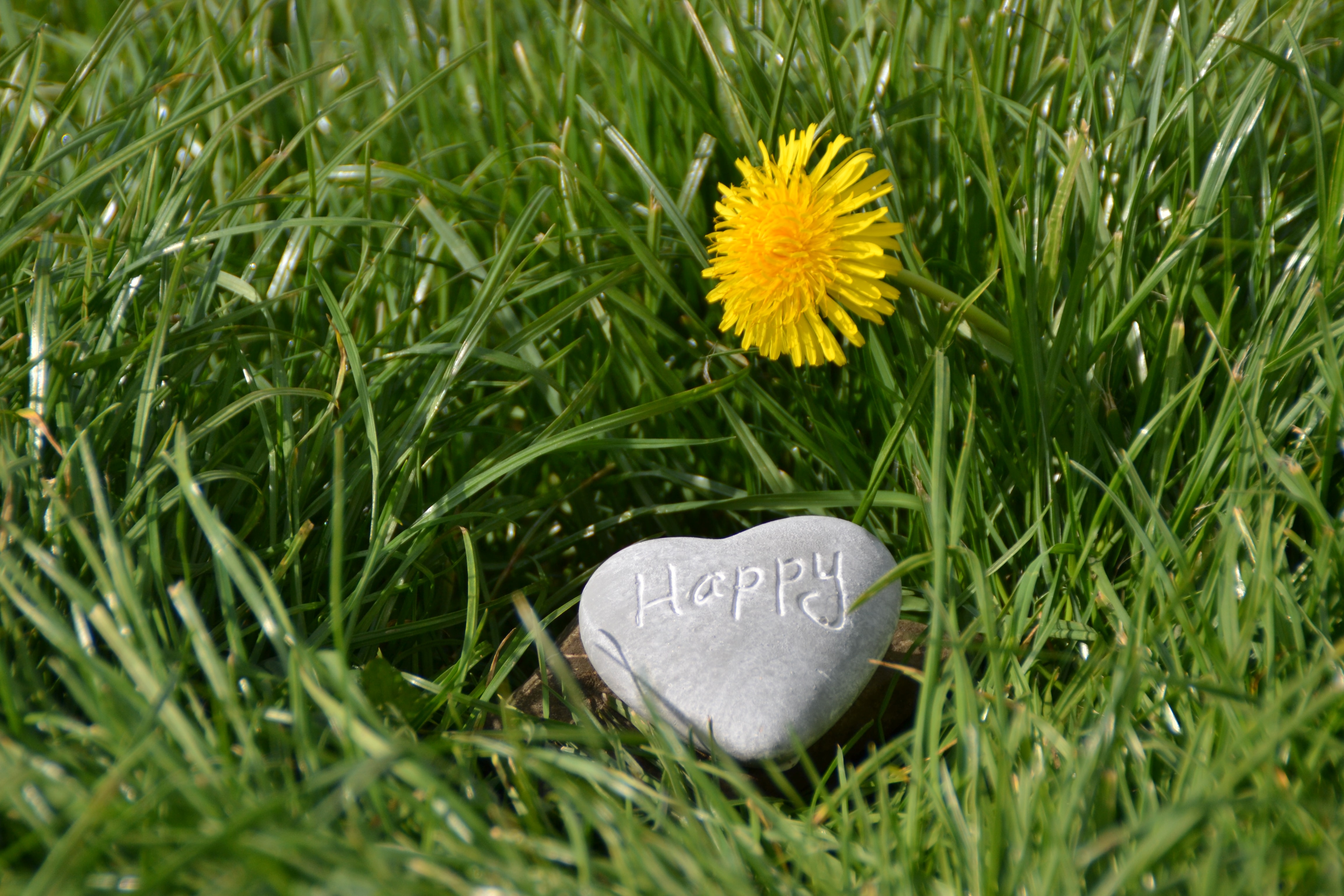 8 simple happiness hacks that work wonders - Journey Déjà vu